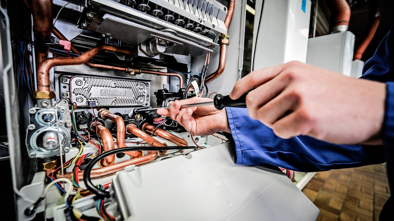 Wärmewende? NRW-Handwerker bauen "wie wild" Gasthermen ein