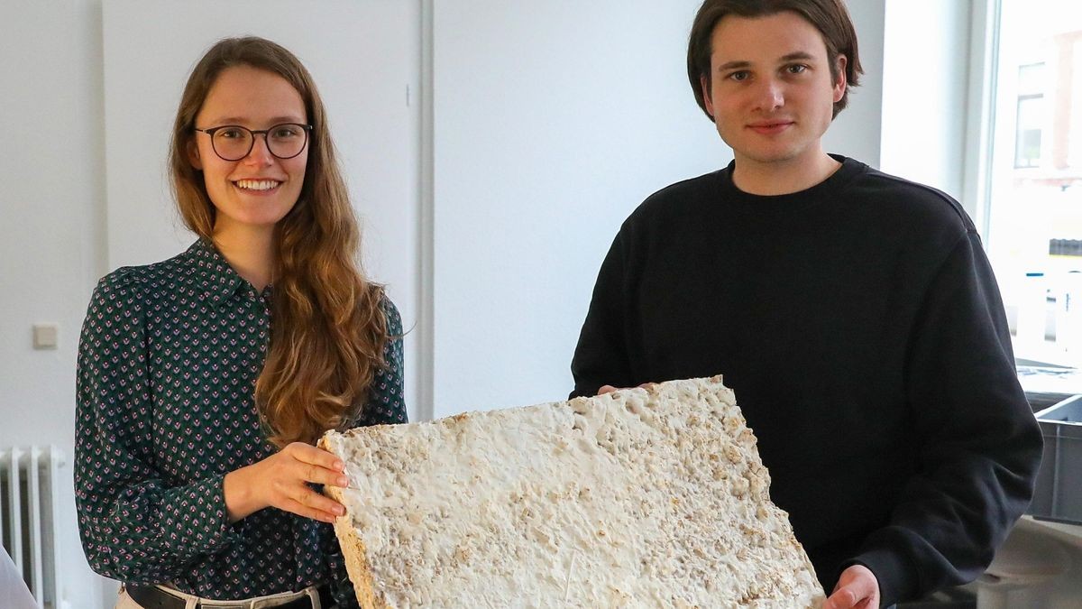 Braunschweig: „YcoLabs“ nutzt Pilze für nachhaltiges Baumaterial