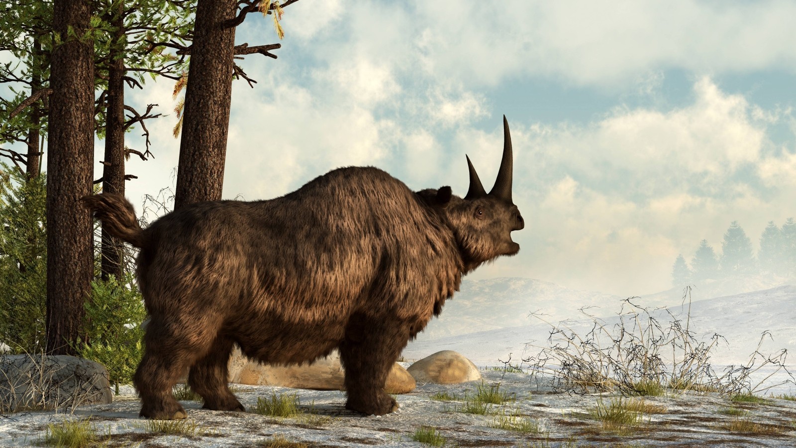 Spektakulärer Fund in Deutschland: Forscher entdecken DNA von Urzeit ...