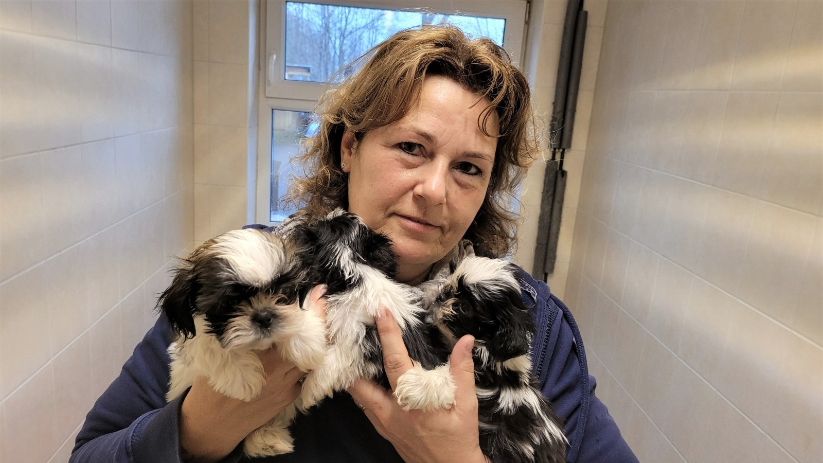 Tierheim in Henstedt-Ulzburg schlägt Alarm: Warum ein Neubau dringend ...