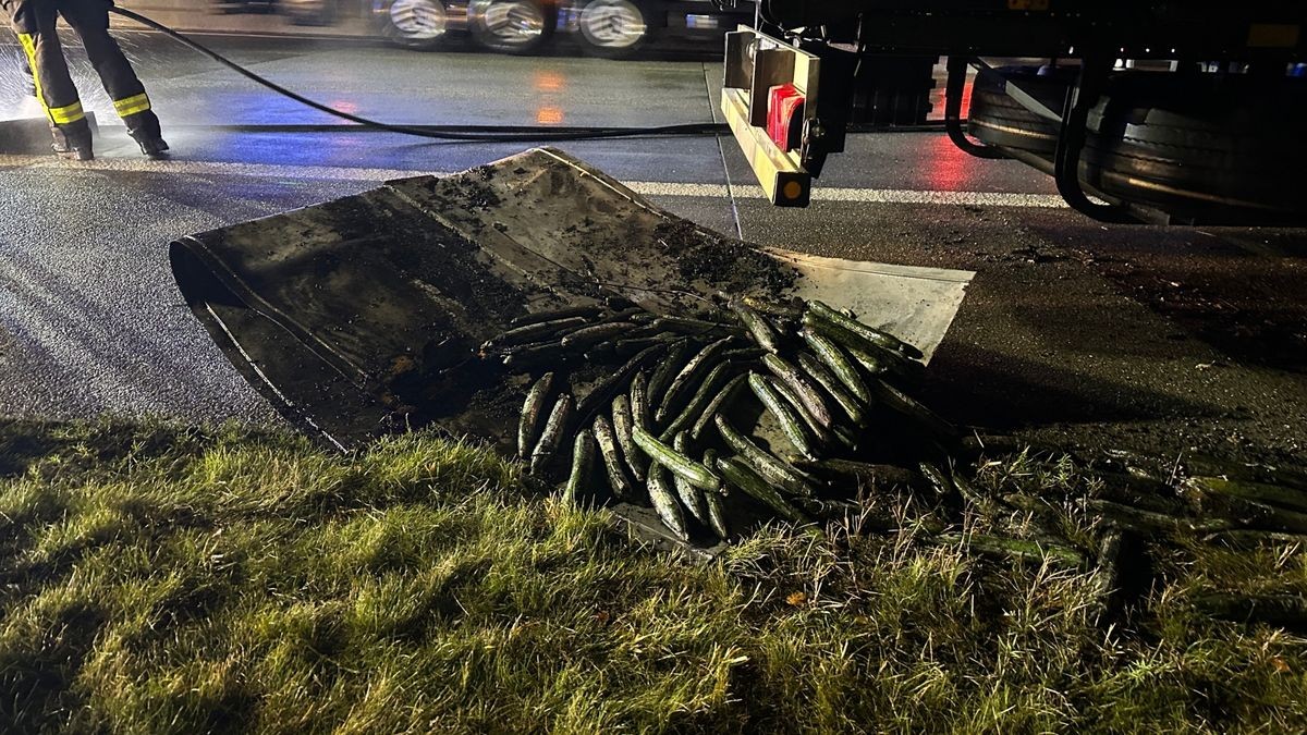 Verheerender Lkw-Brand auf A9 zwischen Dittersdorf und Triptis