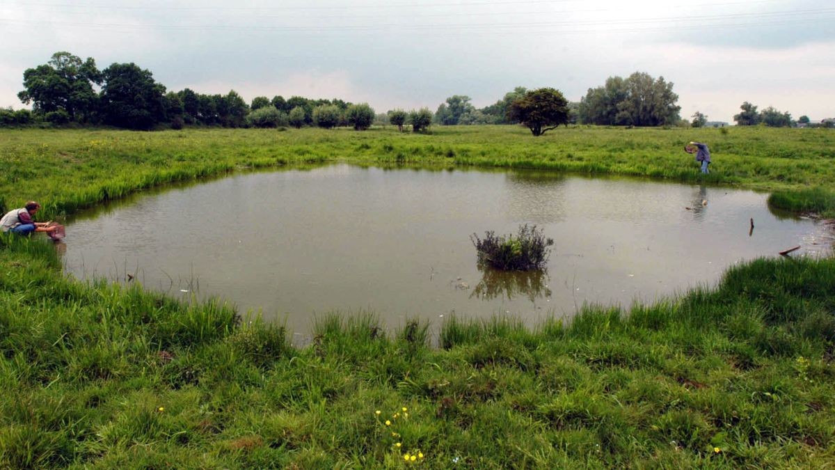 Kleve: Natur-Exkursion zu Rinderner Kolken