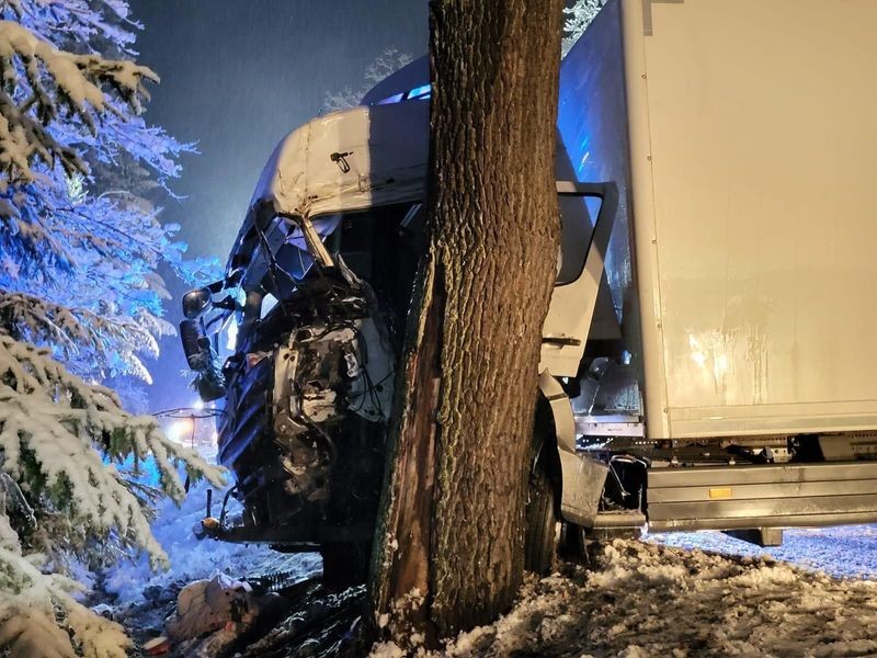 Schwerer Unfall im Saale-Orla-Kreis: Lkw mit Baum kollidiert, Fahrer eingeklemmt