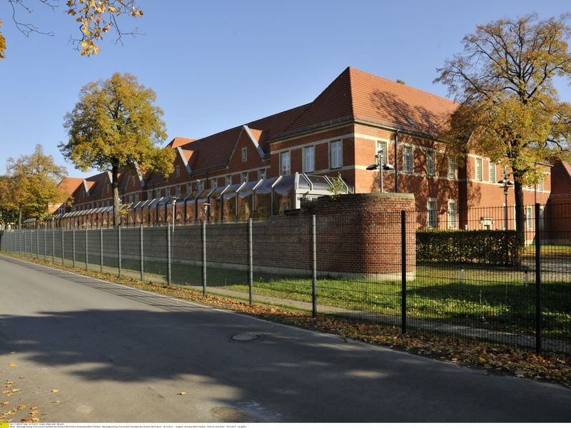 Berlin: Remmo-Clan scheitert mit Gefängnisausbruch – „Dreister Versuch“