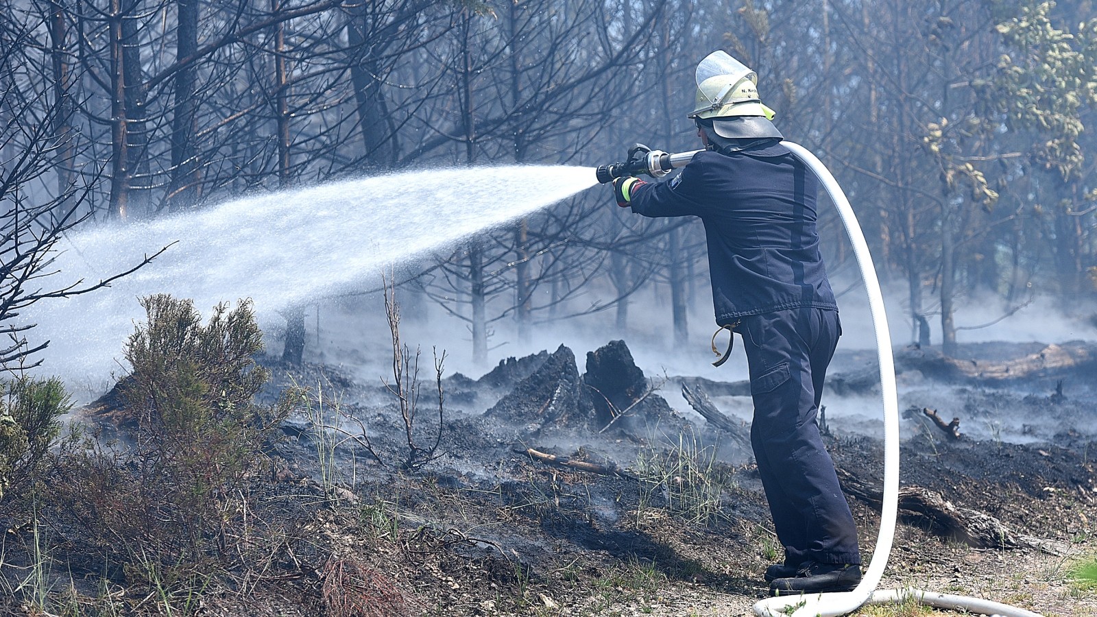 Klimawandel: Auswirkungen treffen Hagen stärker und häufiger