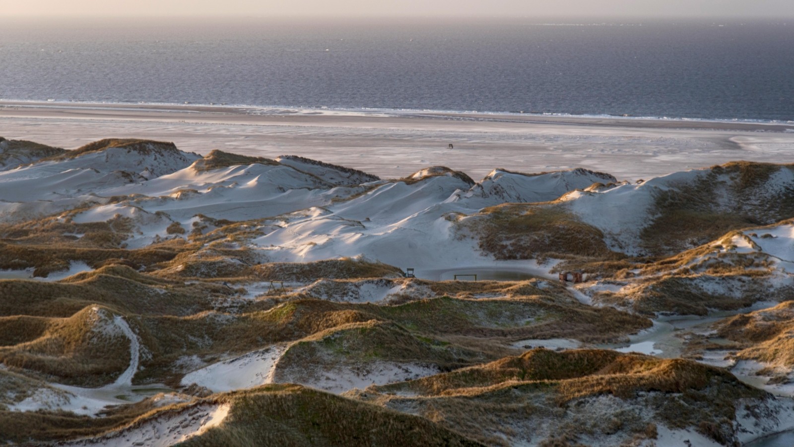 Hark Bohms neuer Roman „Amrum“: Eine Insel, eine Geschichte – auch für Fatih Akin