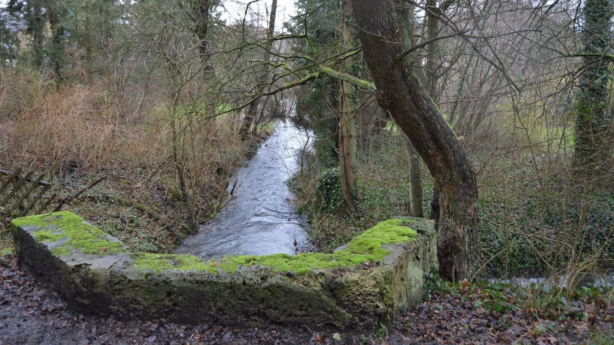 Nervöser Blick auf die Lutter in Königslutter