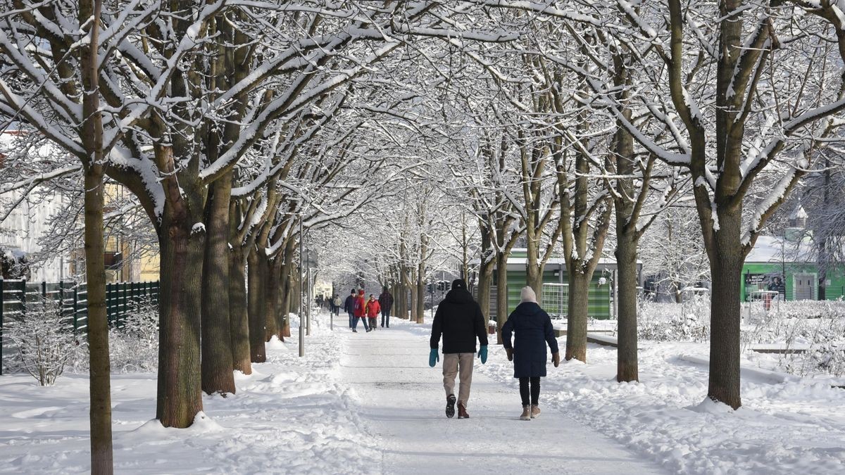 Apolda trägt das schönste Winterkleid
