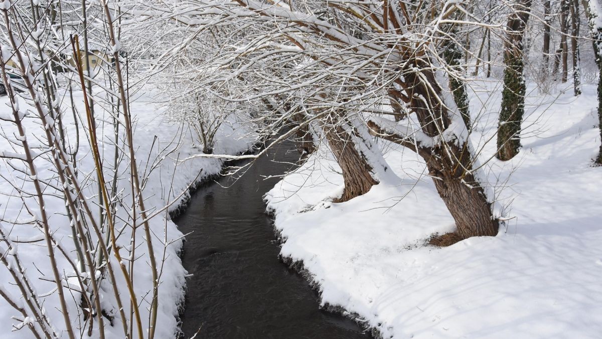 Winter-Impressionen aus Apolda