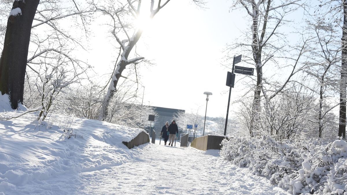 Winter-Impressionen aus Apolda