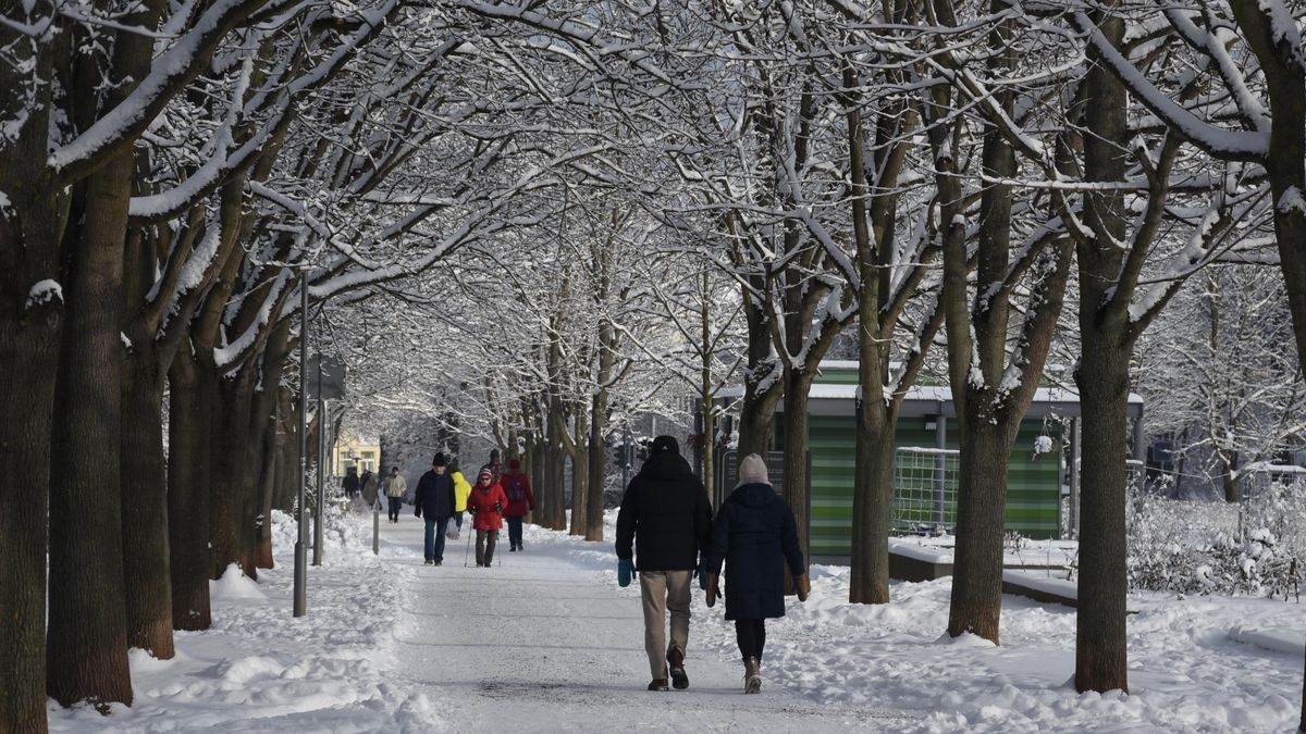 Winter-Impressionen aus Apolda