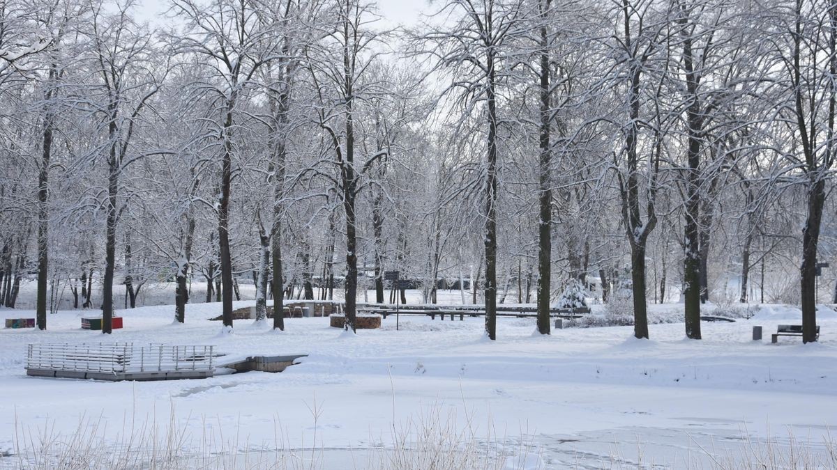 Winter-Impressionen aus Apolda