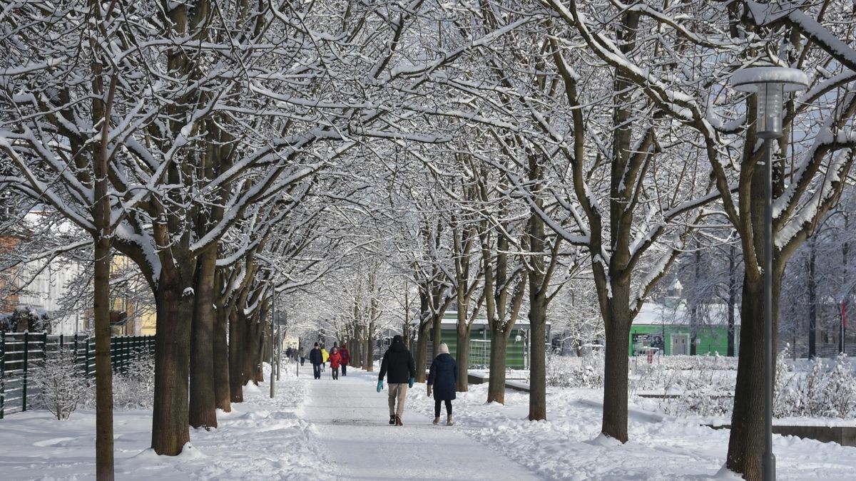 Winter-Impressionen aus Apolda