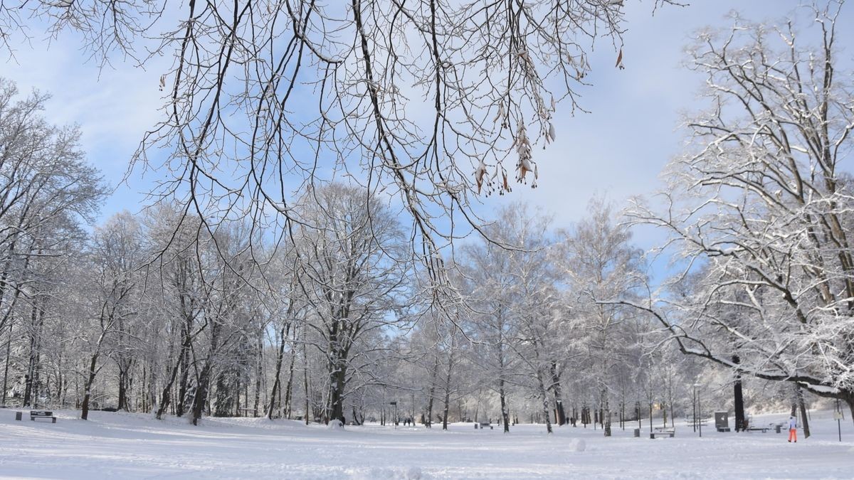 Winter-Impressionen aus Apolda
