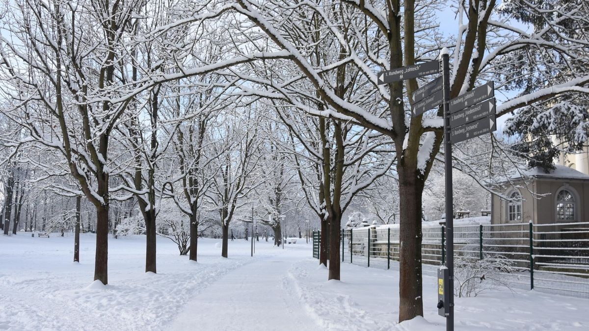 Winter-Impressionen aus Apolda