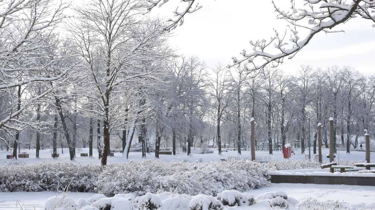 Winter-Impressionen aus Apolda