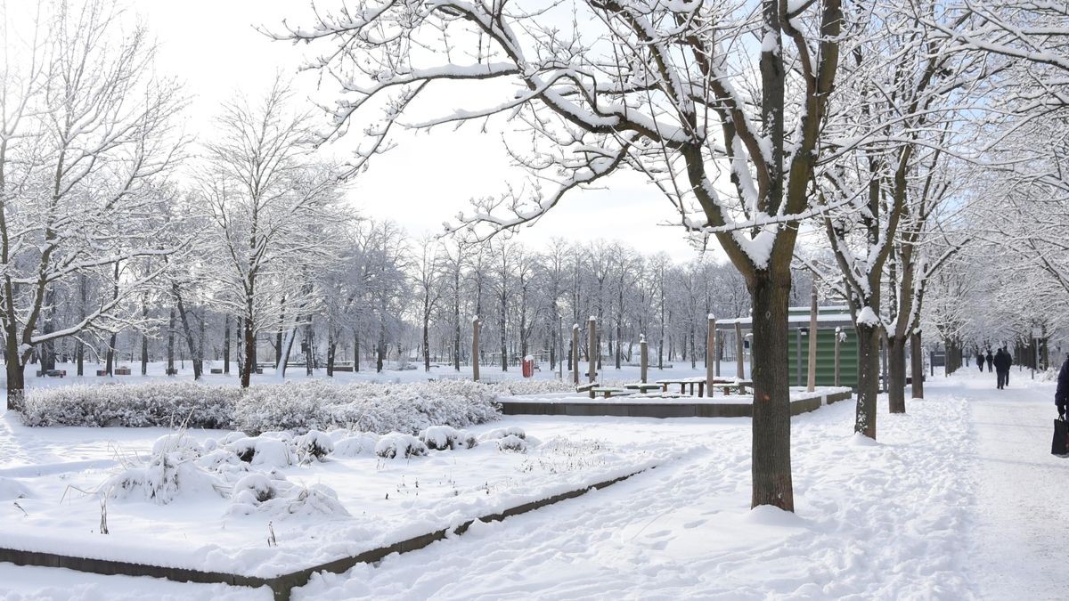 Winter-Impressionen aus Apolda