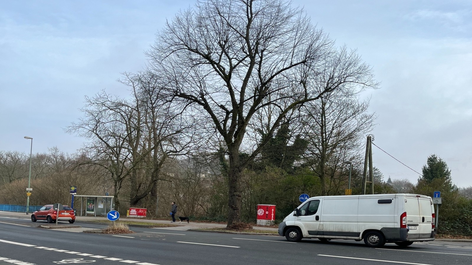 Stadt Essen fällt Bäume in Fulerum und Rüttenscheid