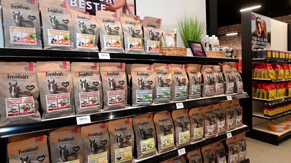 Neueröffnung: Wolfsburg hat jetzt ein Reitsportgeschäft