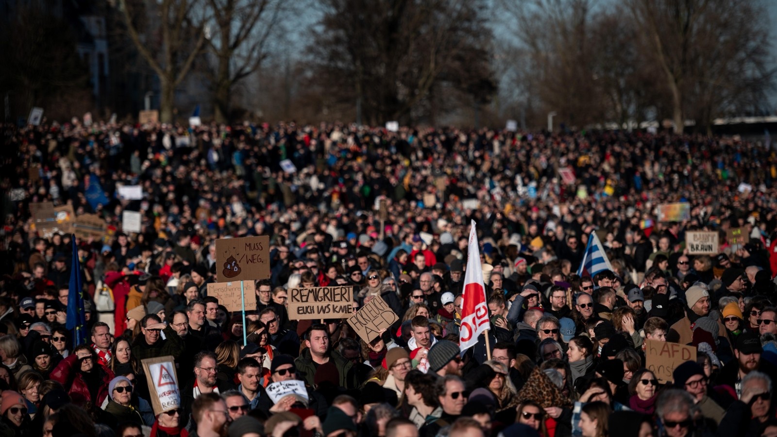 Anti-AfD-Demo in Düsseldorf: Die besten Fotos vom Protest