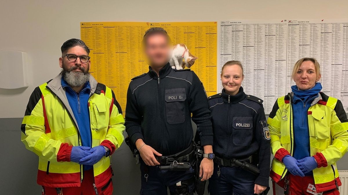 Kätzchen im Essener Hauptbahnhof ausgesetzt - und gerettet
