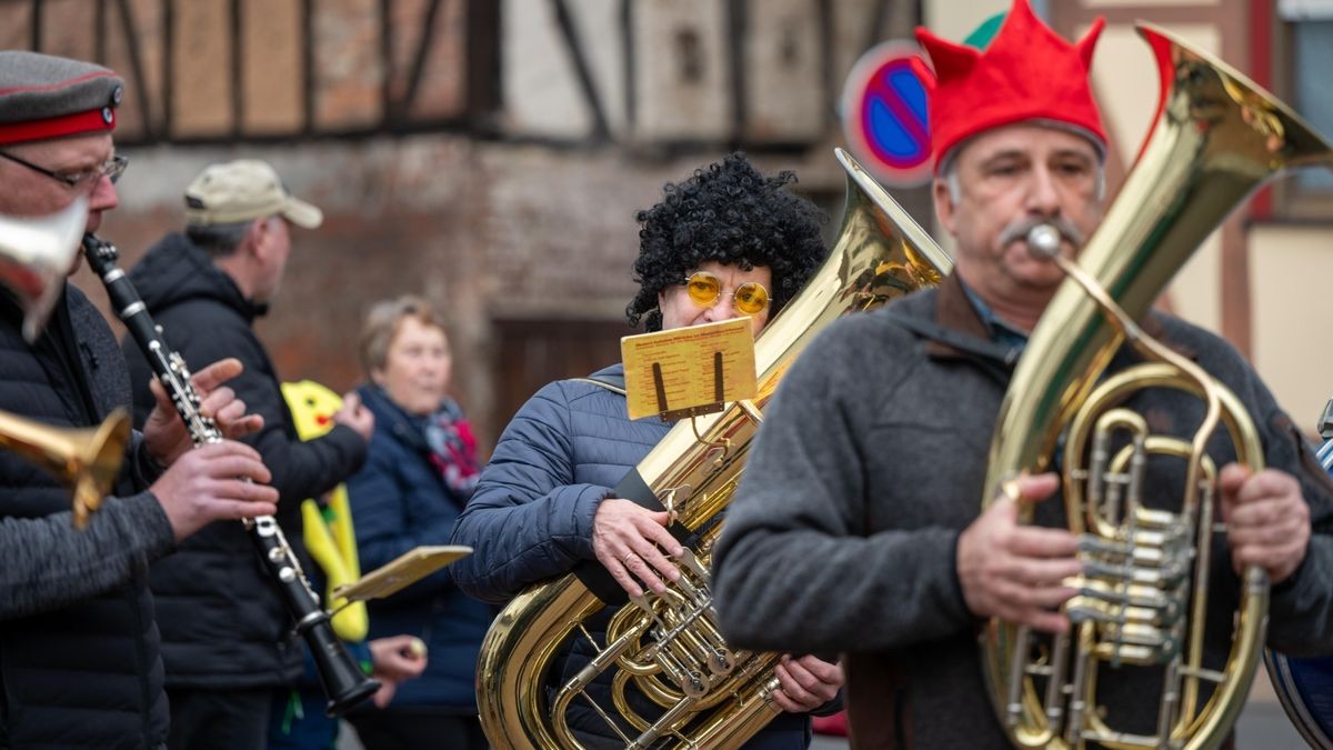Die Bilder zum Dippacher Rosenmontagsumzug im Wartburgkreis