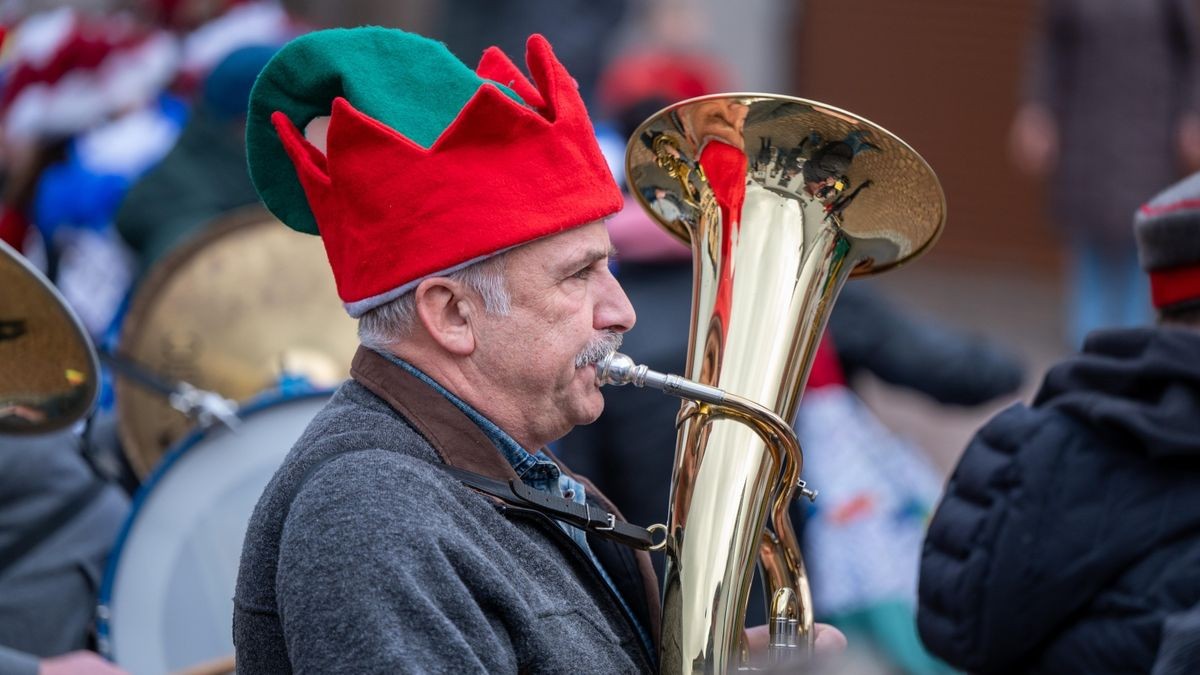 Die Bilder zum Dippacher Rosenmontagsumzug im Wartburgkreis