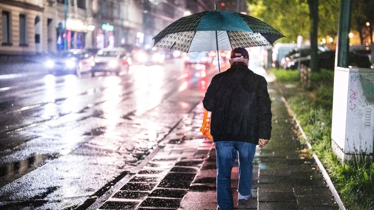 Mit Kokain im Blut: Frau rast in Audi SQ8 durch Hochfeld