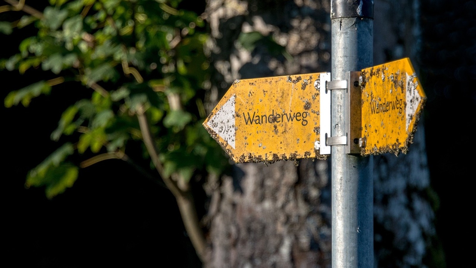 Streit im Harzklub: Göthel distanziert sich von Extremismus