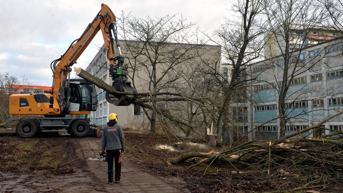 Großprojekt Bildungscampus Gera Lusan beginnt