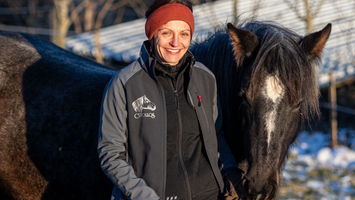 Sauerland-Criollos: Eine Pferdegeschichte mit Herz und Seele