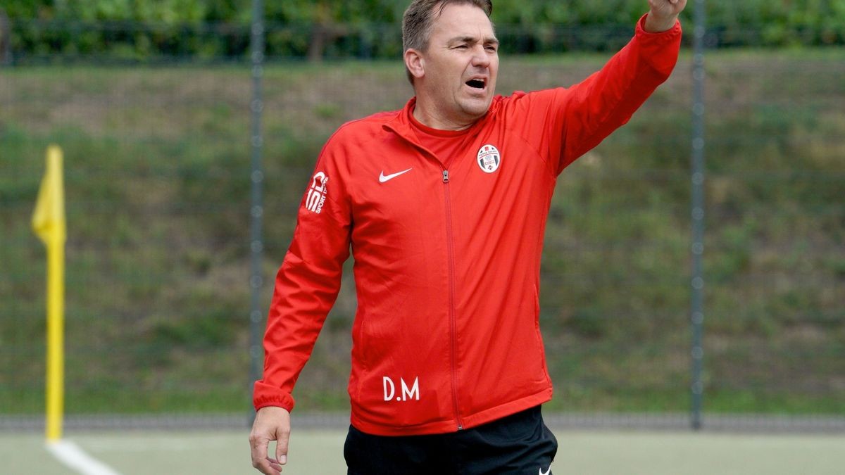Landesliga-Trainer packen aus: Das sind die größten Notlügen