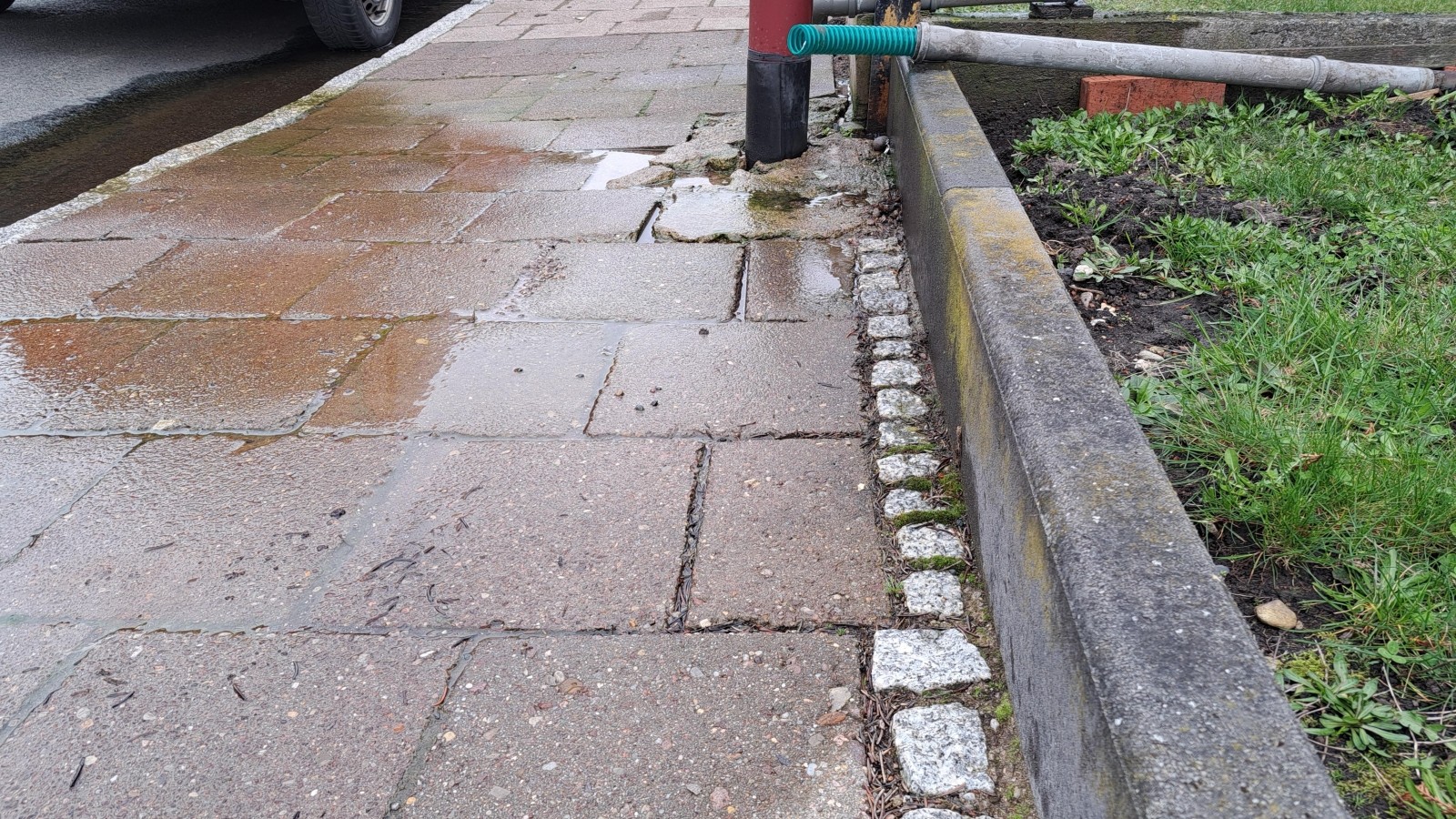 Hoher Grundwasserstand sorgt für nasse Keller in Sömmerda