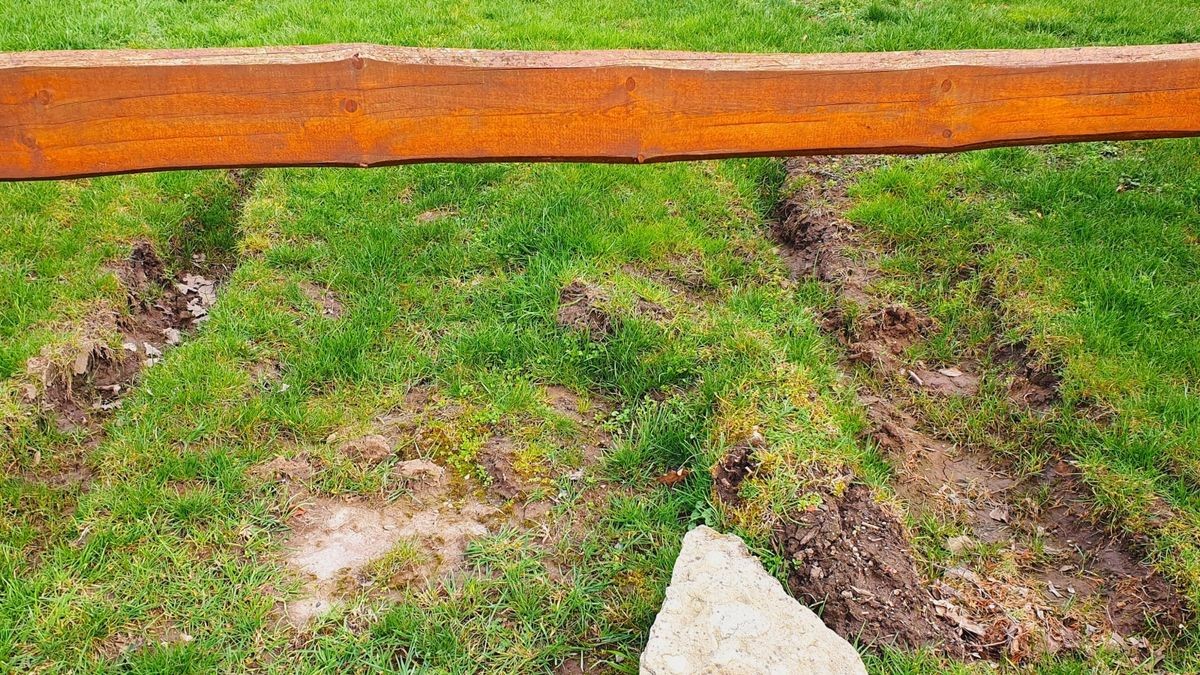 Das Hochwasser geht - der Schimmel kommt