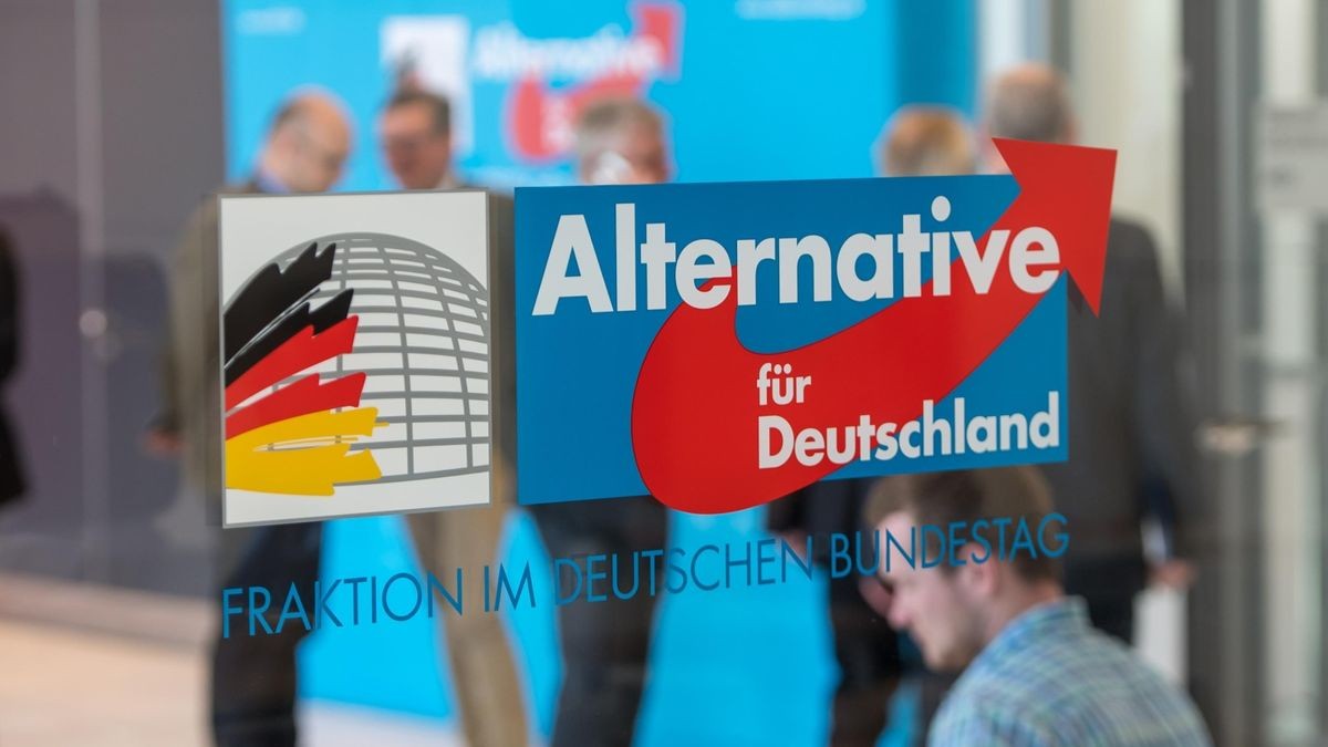 Afd Im Bundestag Soll über 100 Rechtsextreme Beschäftigen
