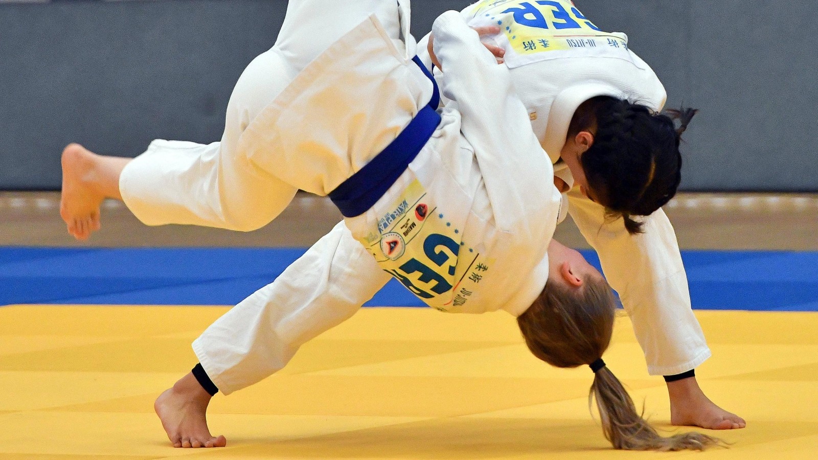 Mit Fotostrecke: Bushido Ryu feiert Erfolge bei der Heim-DM