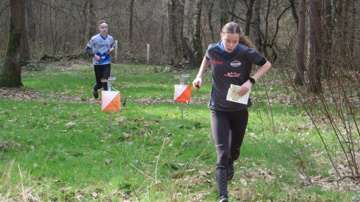 Orientierungslauf durch den Wald