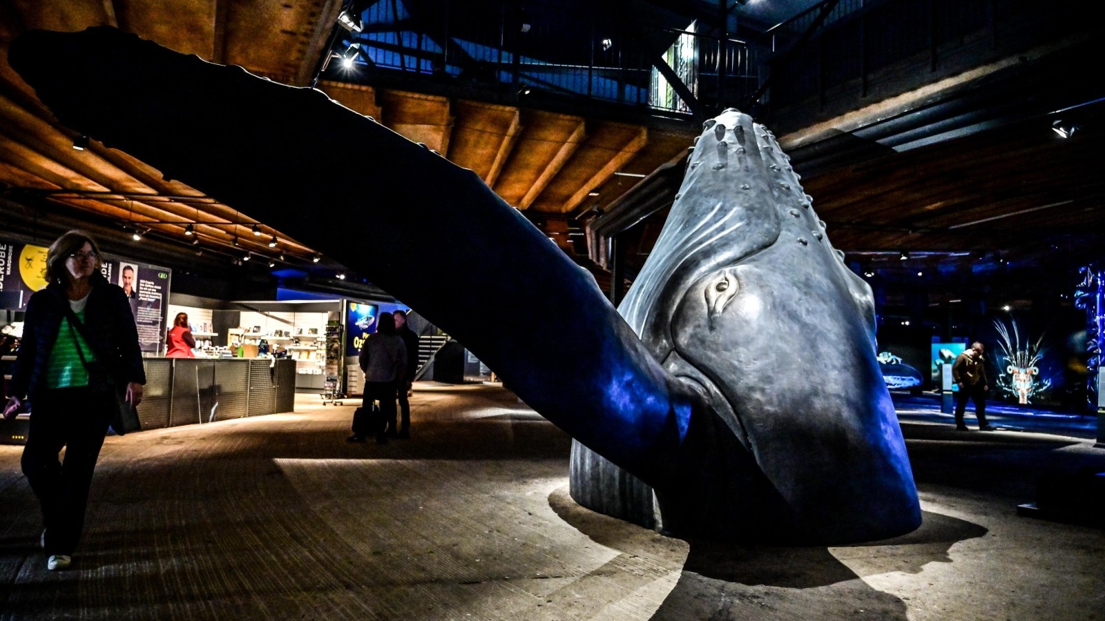Gasometer Oberhausen: „Planet Ozean“ zeigt Leben der Meere