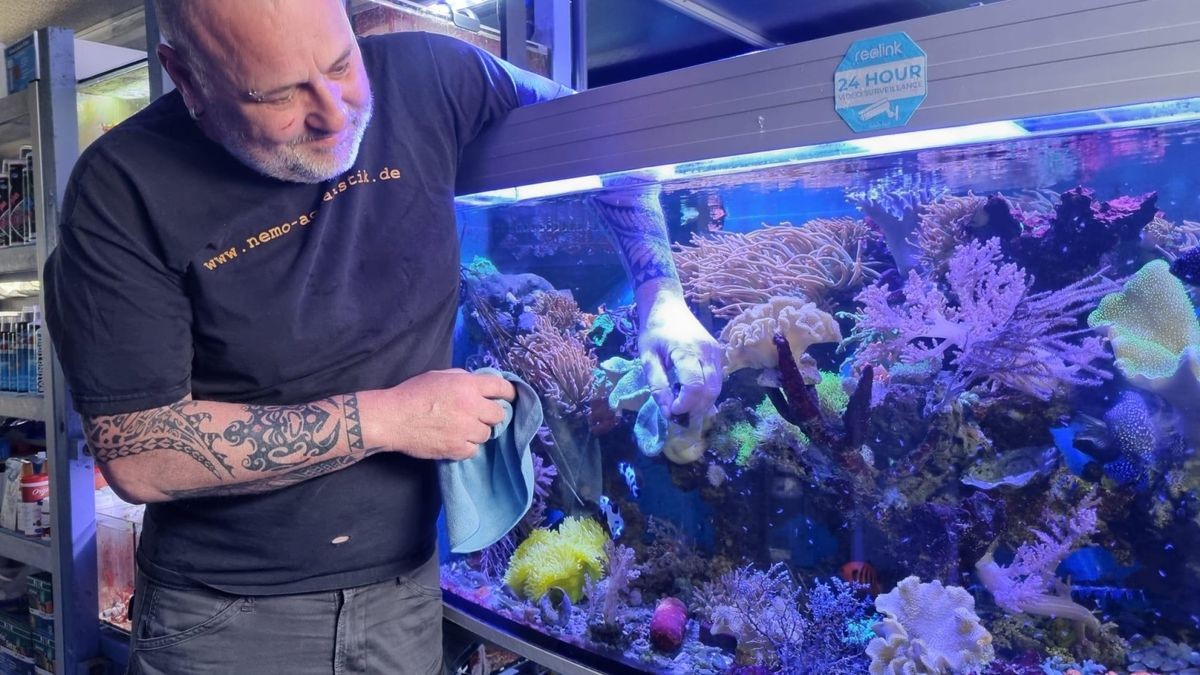 Saale-Holzland: Diese Fische verkauft Thüringens größter ...