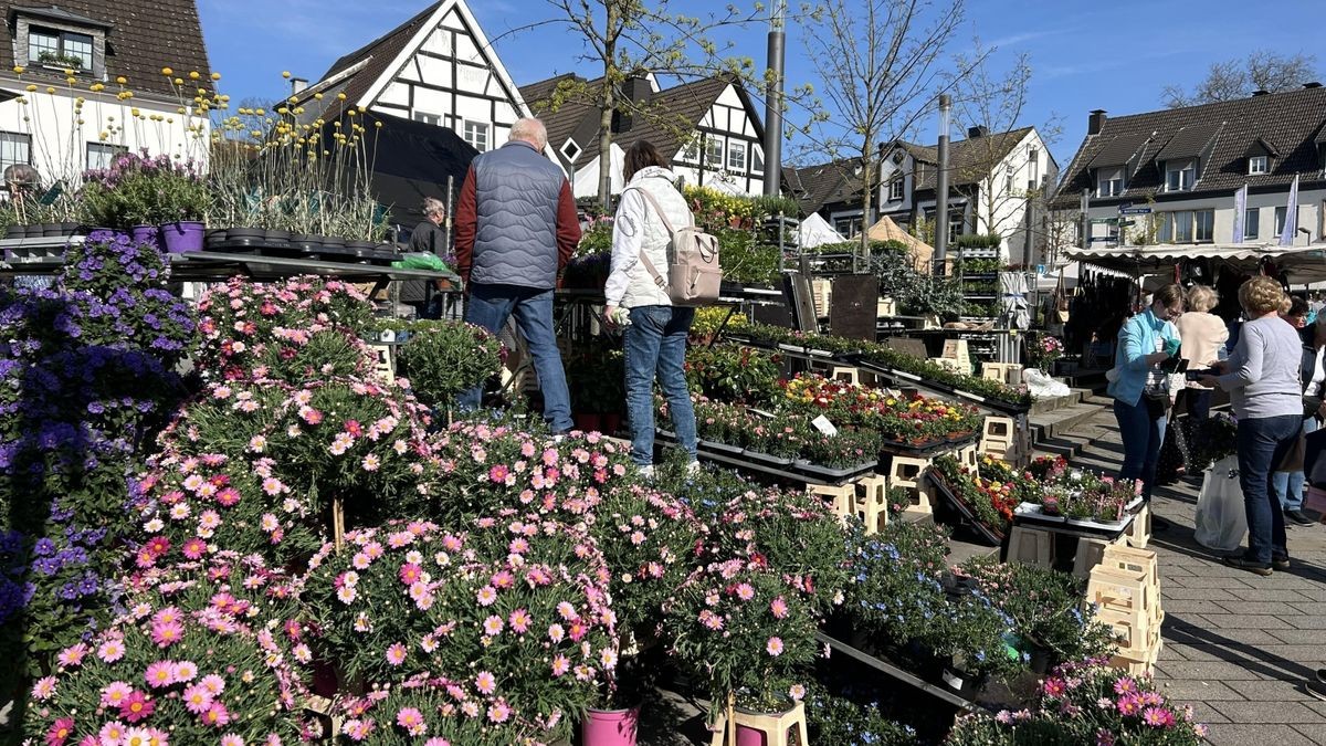 Frühlingsfest Herdecke: Meer aus Blumen lockt Besucher an