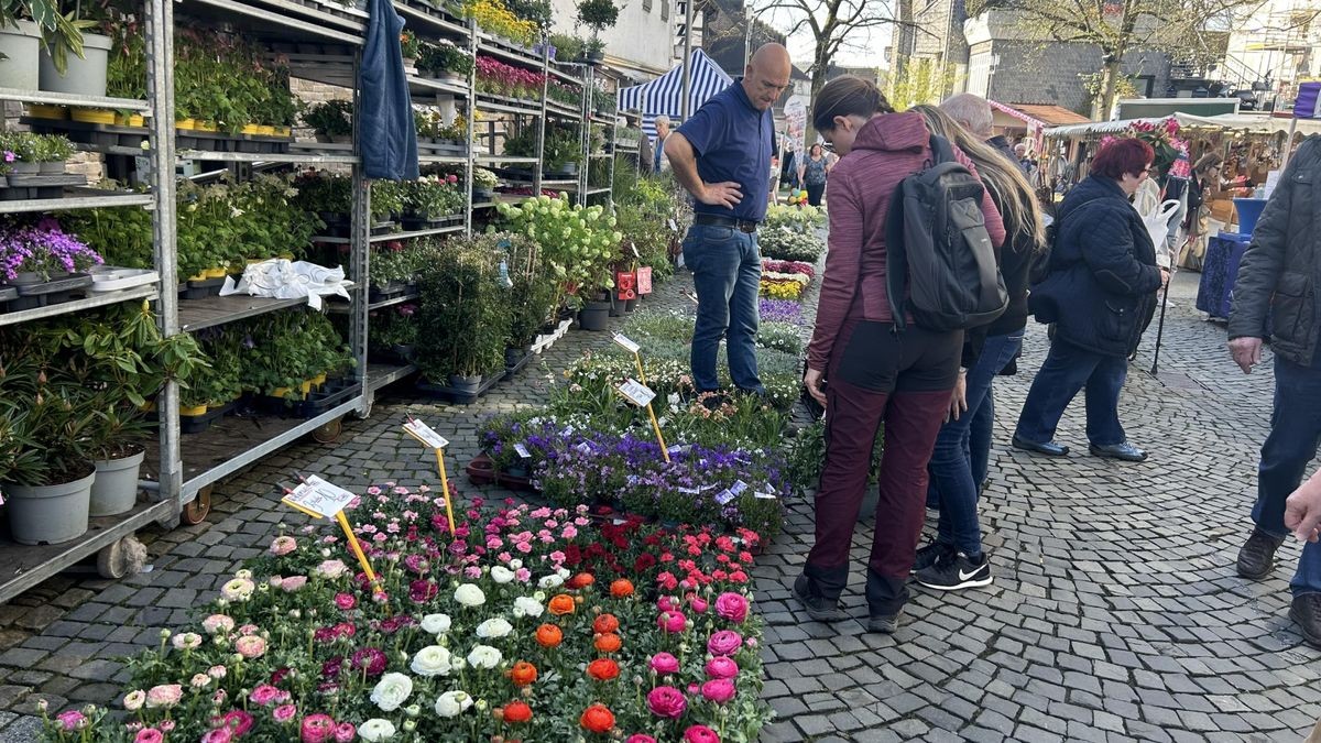 Frühlingsfest Herdecke: Meer aus Blumen lockt Besucher an