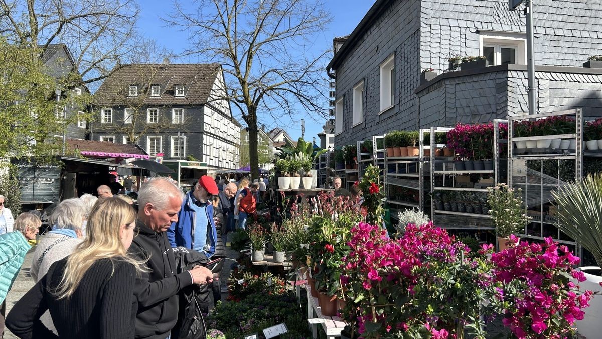 Frühlingsfest Herdecke: Meer aus Blumen lockt Besucher an
