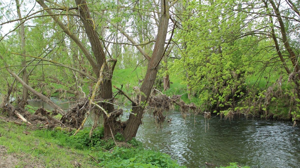 Dorf im Unstrut-Hainich-Kreis befürchtet Überflutung