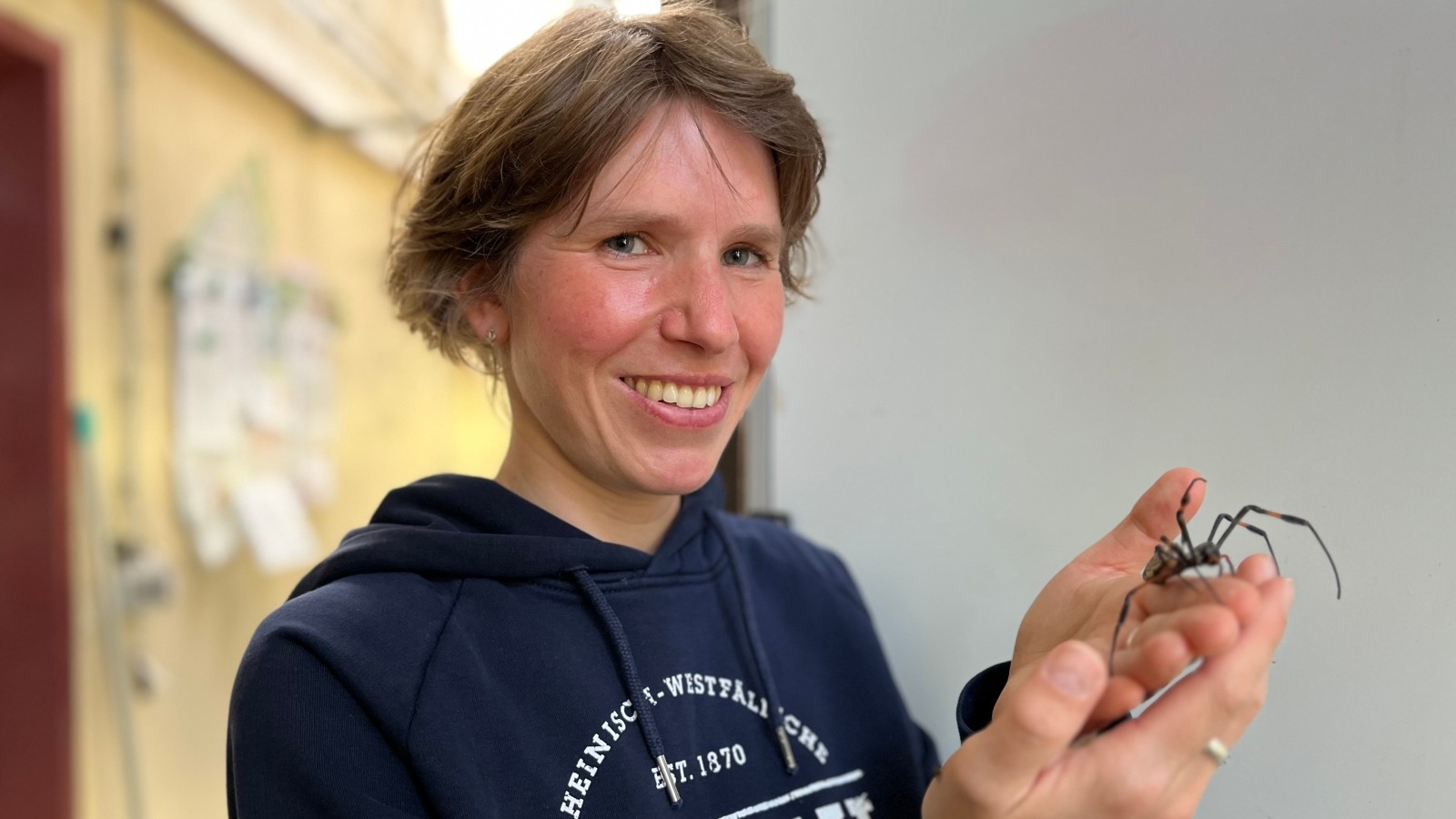 Kurioses Projekt im Aquazoo Düsseldorf: Warum Anna Bartz Spinnen melkt