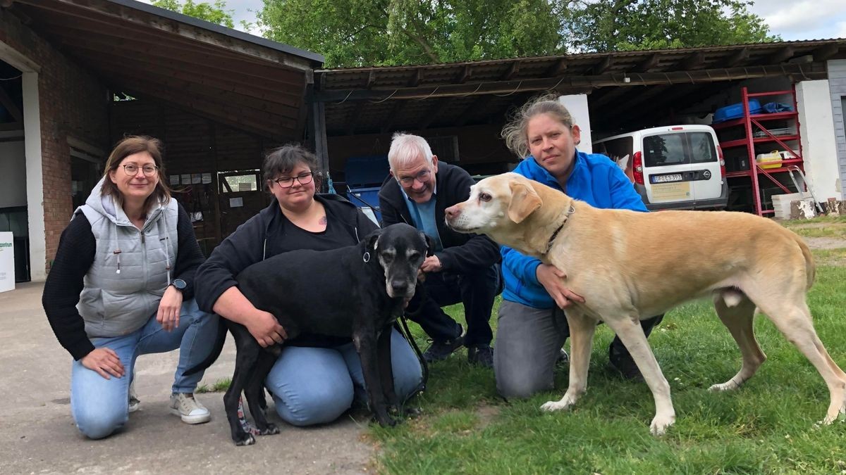 Endlich! Eine neue Heimat für Gifhorns ärmste Fundtiere