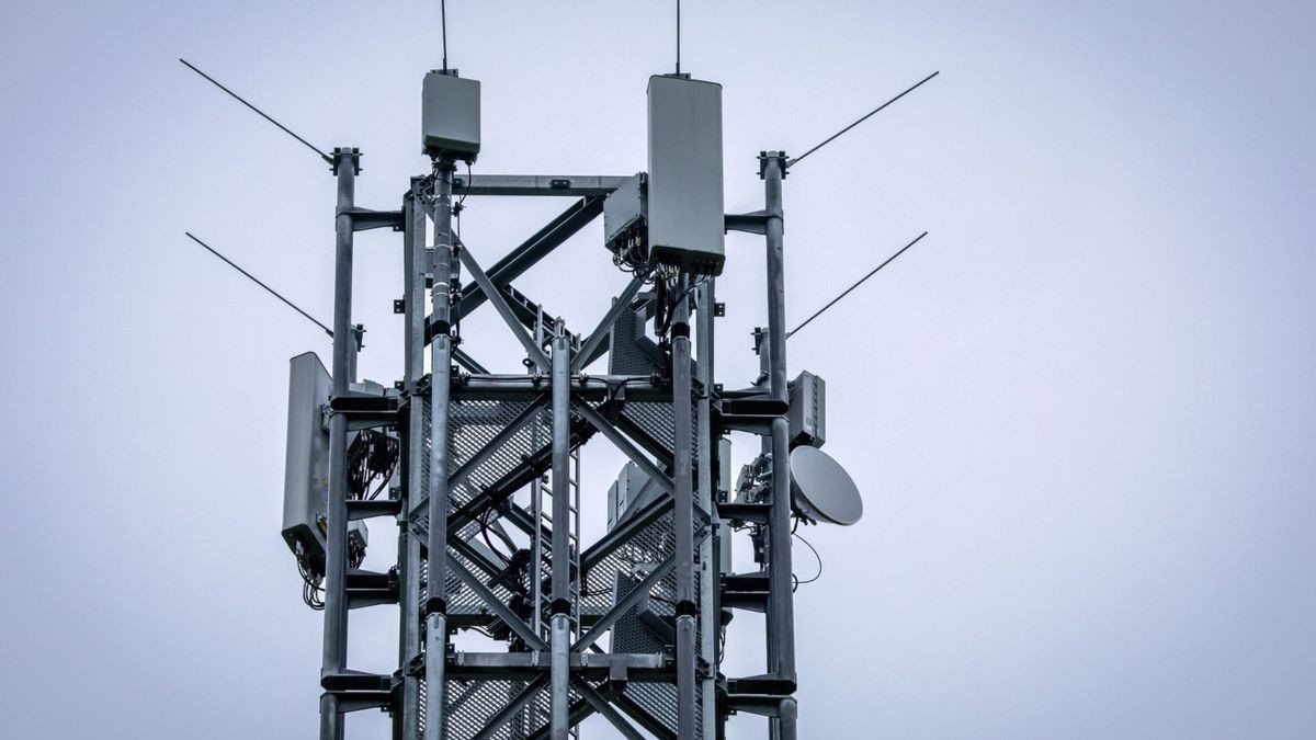 Nachrichten aus Hamburg und der Welt - Hamburger Abendblatt