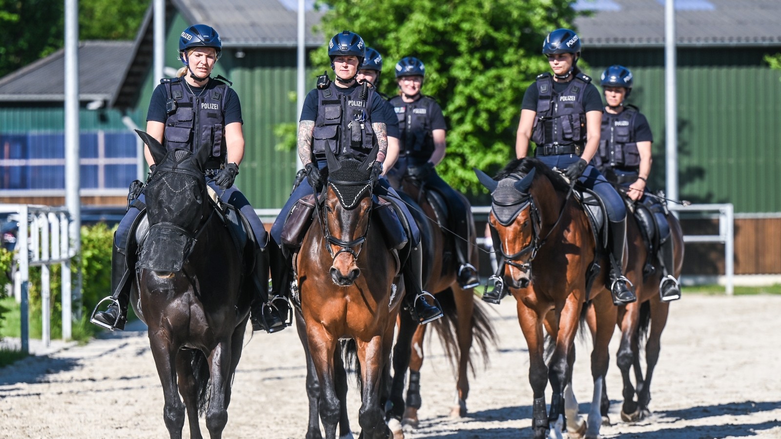 So bereitet sich Bochums Polizei-Reiterstaffel auf Fußball-EM vor
