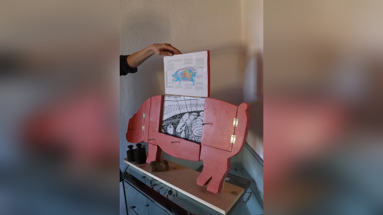 Regionalmuseum lädt zur Fleischbeschau