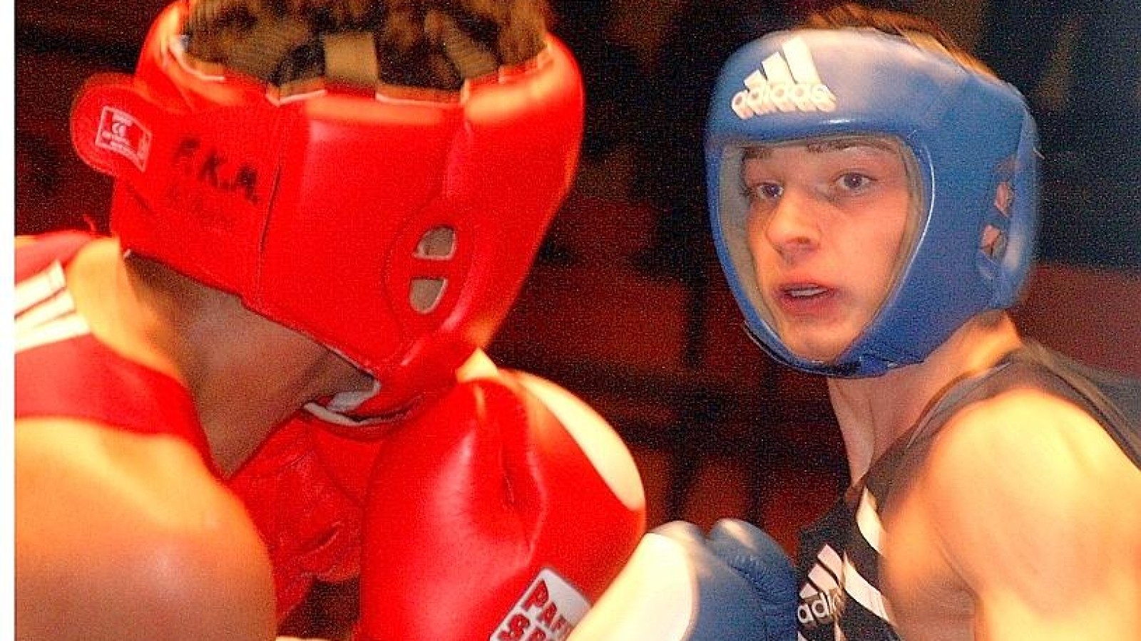 Makarov holt EM-Gold