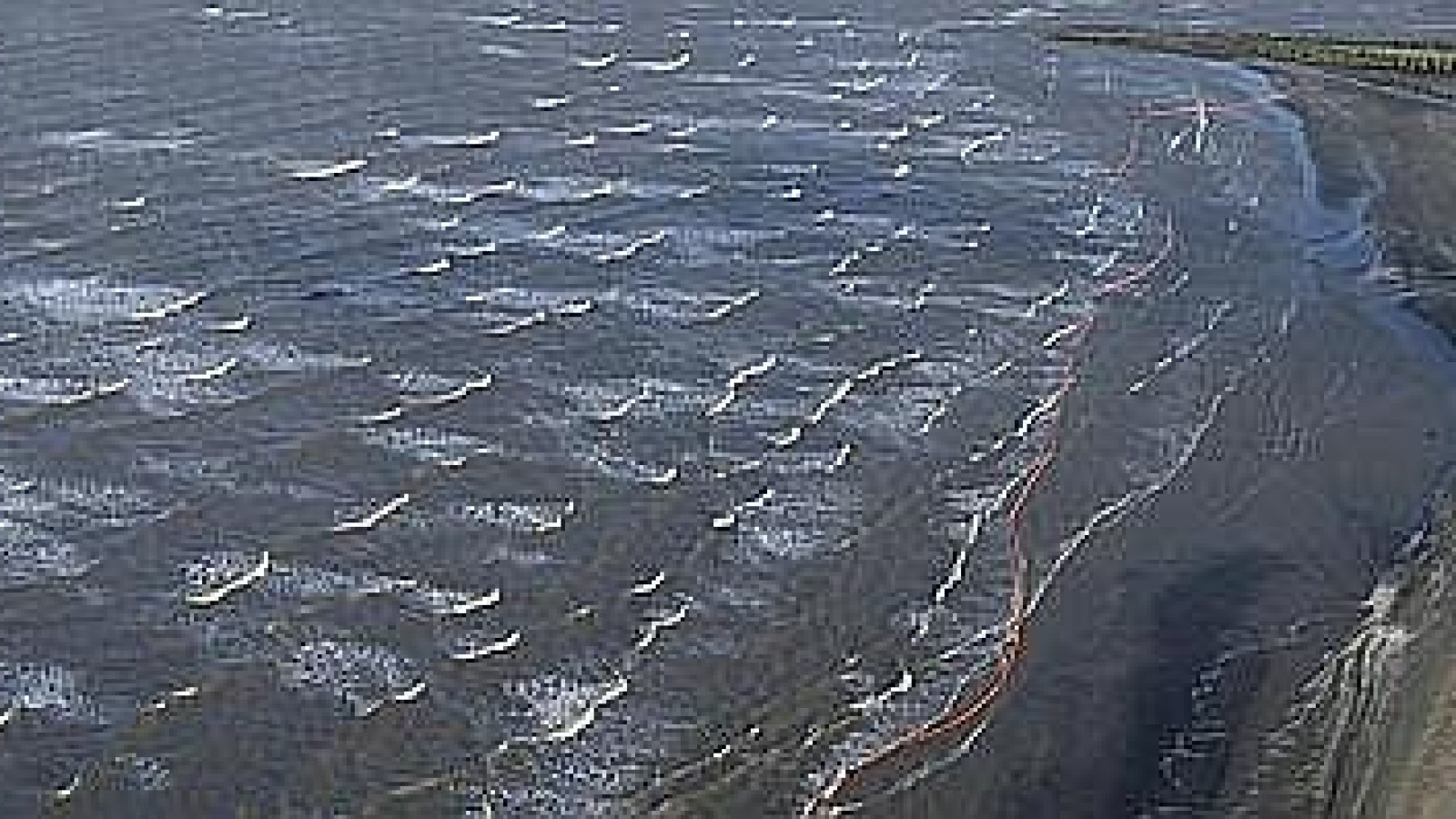 USA stehen vor größter Öl-Katastrophe seit 20 Jahren